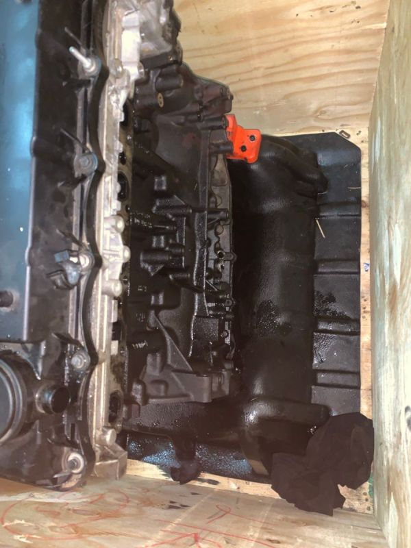 Ford Ranger 3.2L Complete Engine - Engine | Turbo - Gauteng